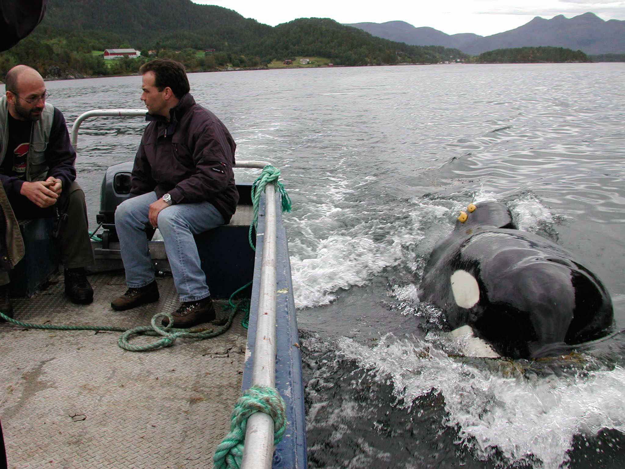 p3.no » Gåten Keiko